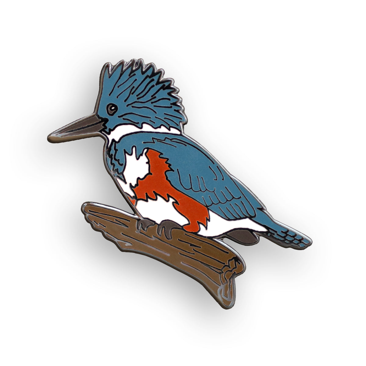 Belted Kingfisher Drawing